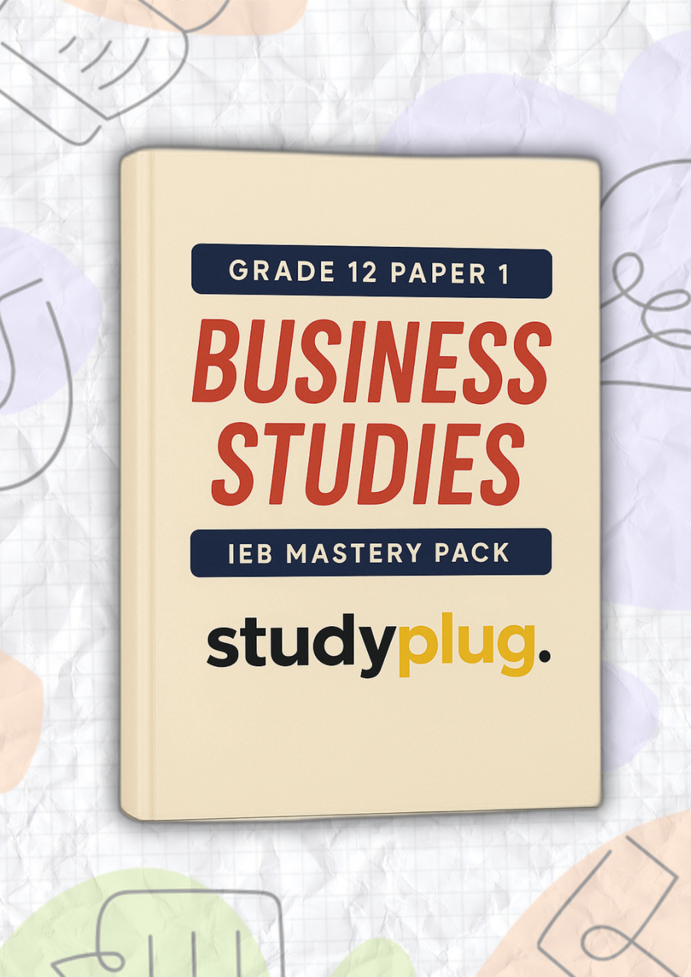 Grade 12 Business Studies - Study Guide 2025 – StudyPlug SA