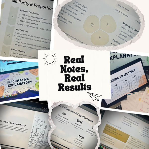 Grade 12 English P2 - Study Guide 2025 – StudyPlug